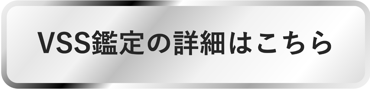 VSS鑑定（バリュースカウターサービス） | AI×トレカ鑑定サービス